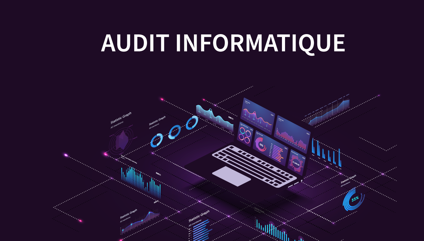 Audit Informatique DUCREUX - Strat&Si